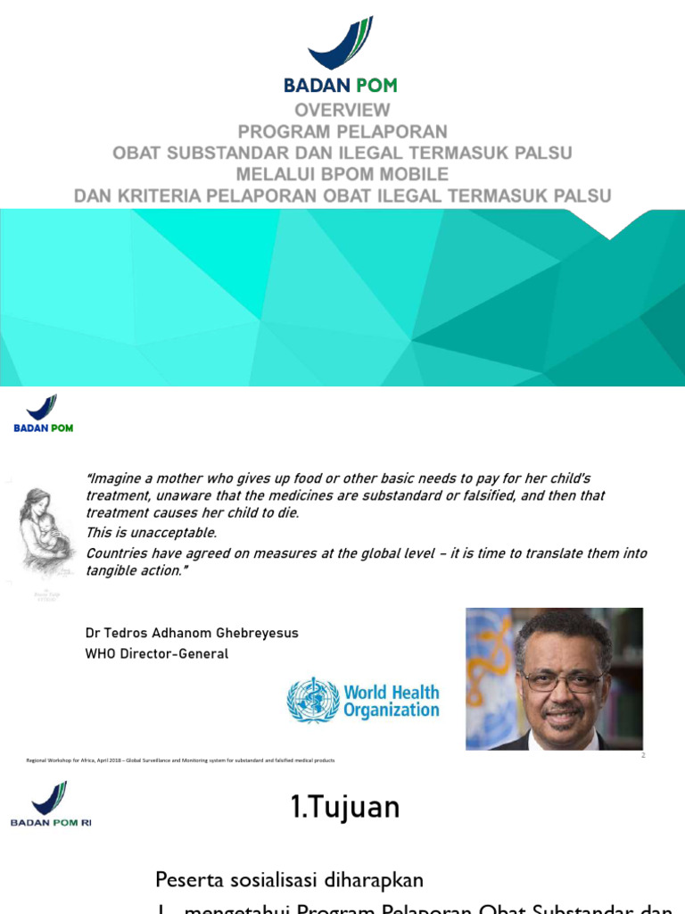 Overview Program Pelaporan PDF | PDF