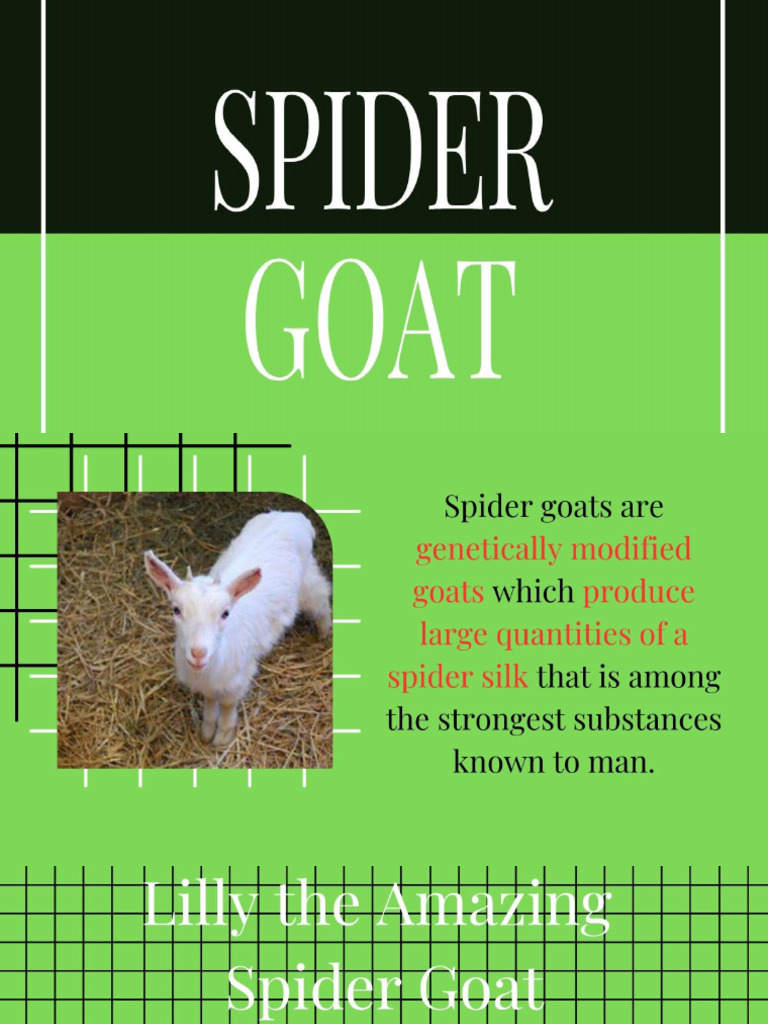 SPIDERGOAT | PDF
