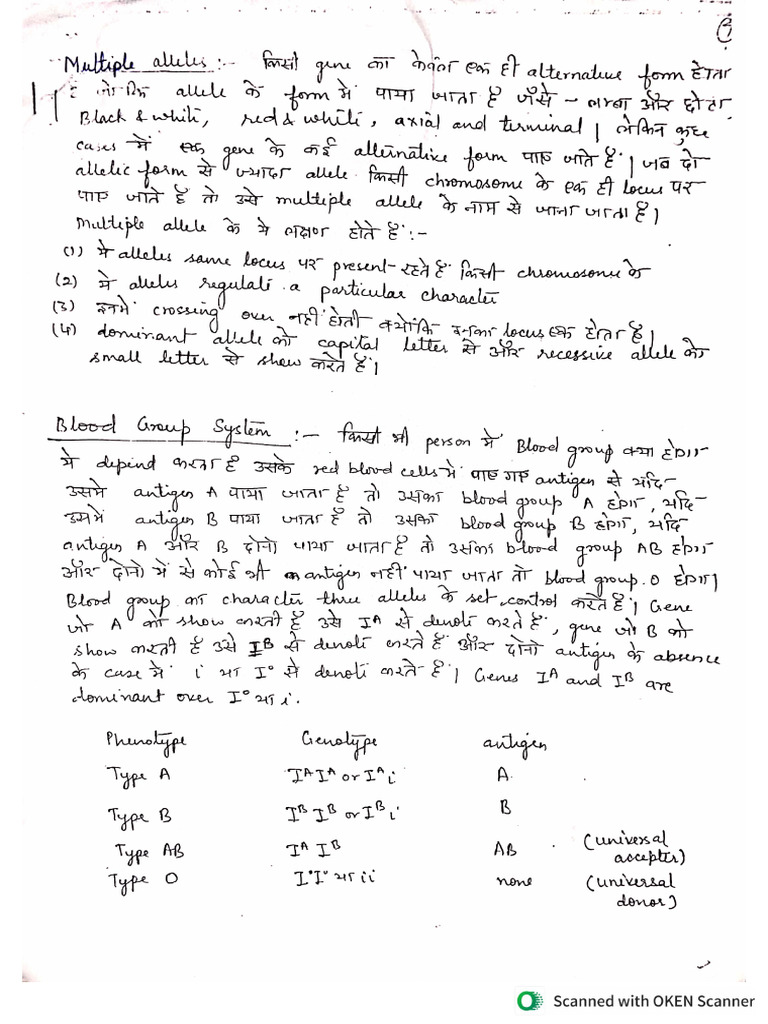 Multiple Alleles Clas Notes | PDF