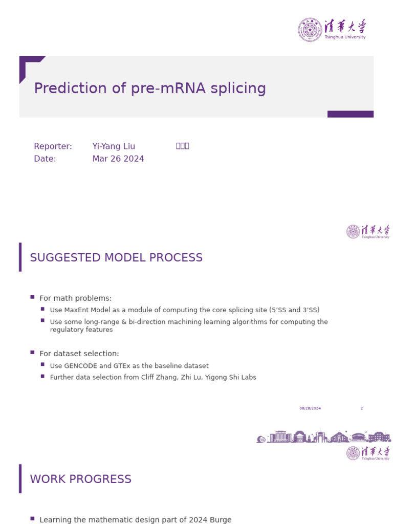 10 WP Lyy 20240326 | PDF