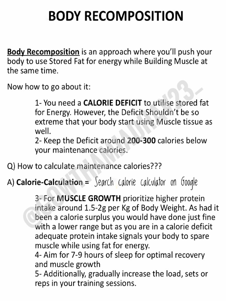 Body Recomposition | PDF