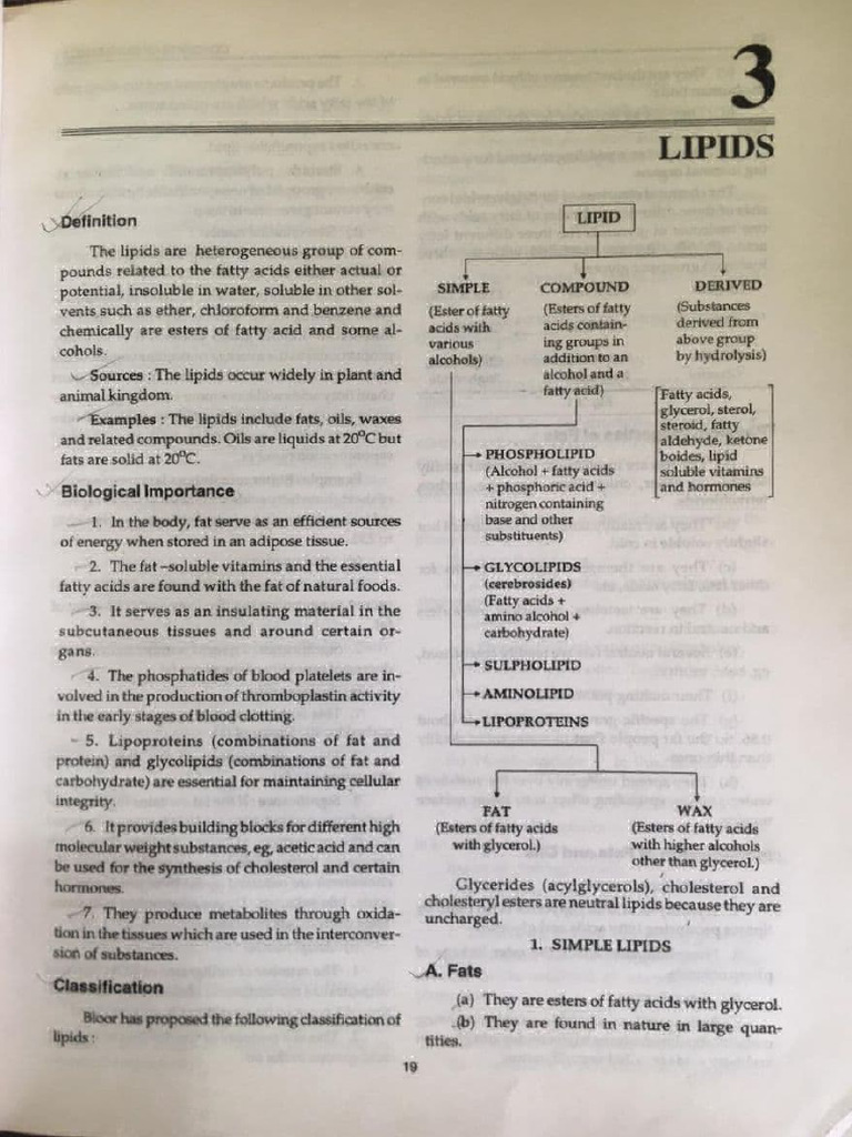 Chapter 3 -Lipid | PDF