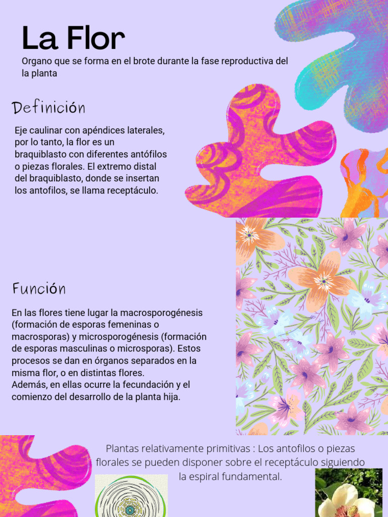 Flor | PDF