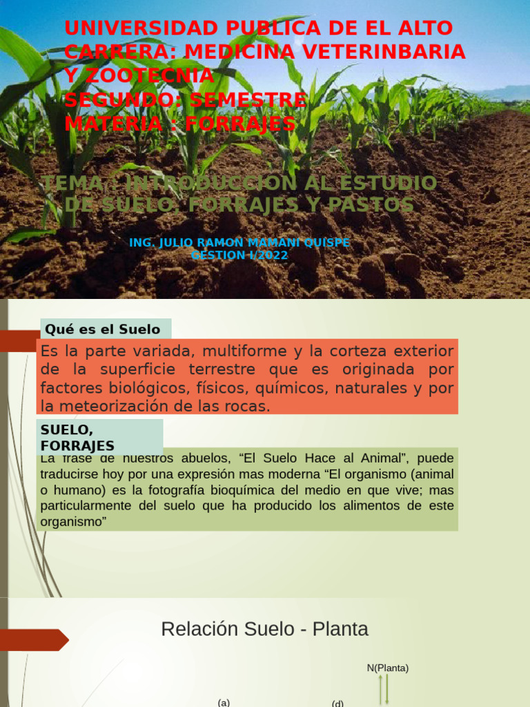 Tema 1, Forrajes | PDF