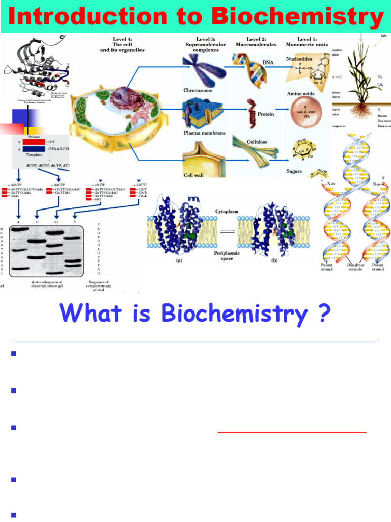 Module 1 INTRODUCTION To General Biochemistry | PDF | Science ...