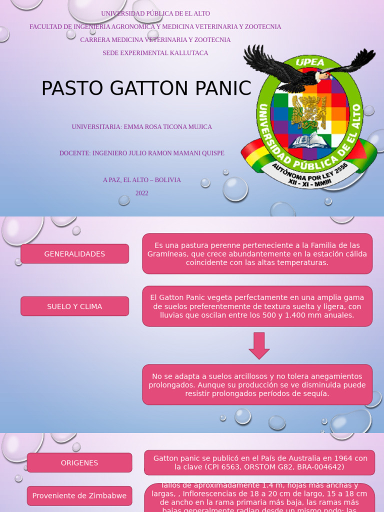 Pasto Gatton Panic Diapositivas | PDF