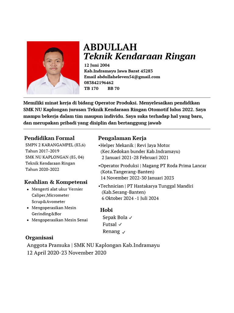 CV Abdullah | PDF