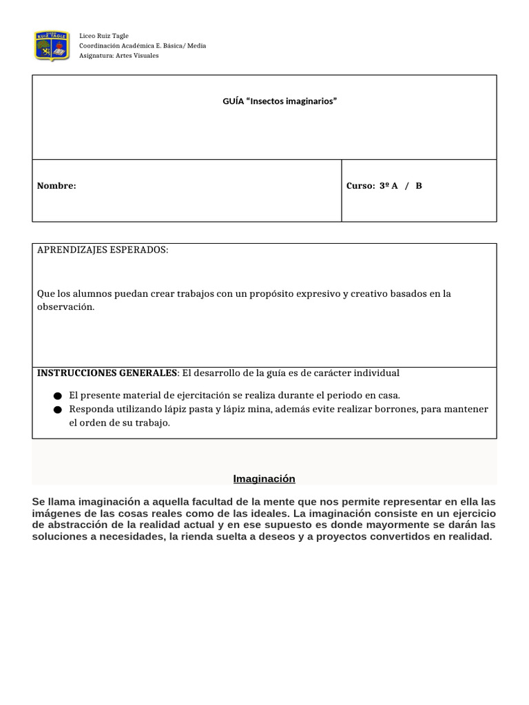 Guia 3° Insectos Imaginarios | PDF