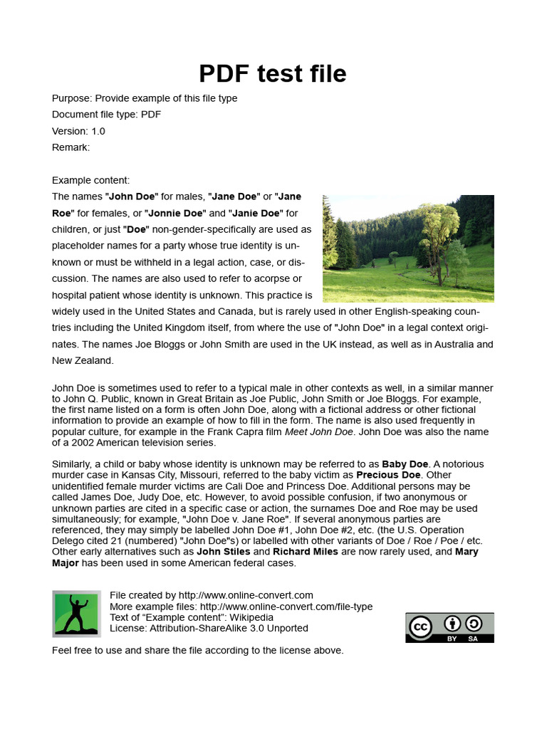 Example | PDF