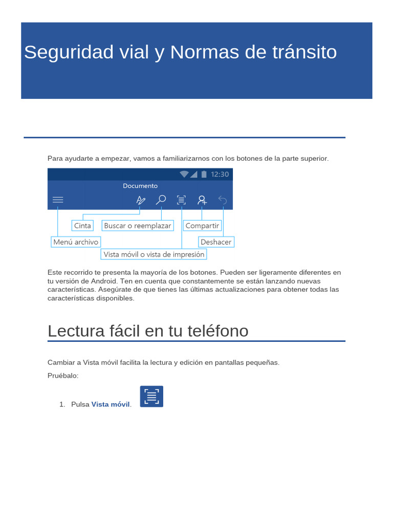Seguridad Vial y Normas de Tránsito: Lectura Fácil en Tu Teléfono | PDF