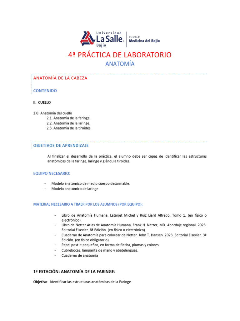 4a Práctica Lab Anatomia Del Cuello 2a Parte | PDF | Laringe | Anatomía