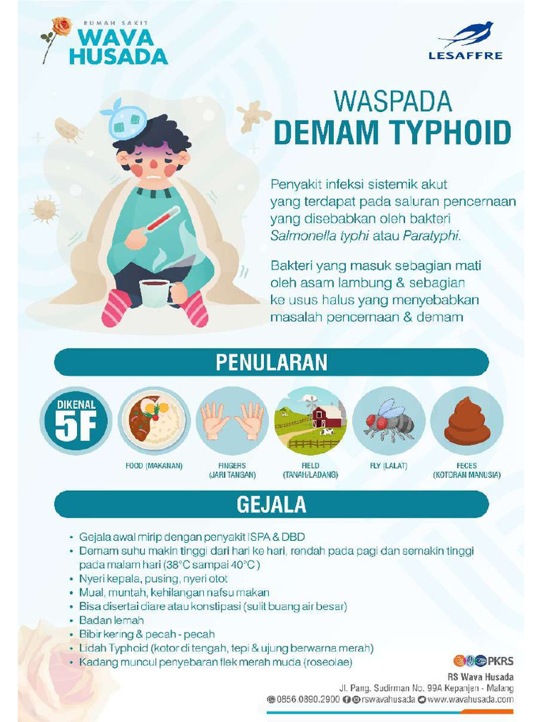 Demam Typhoid | PDF