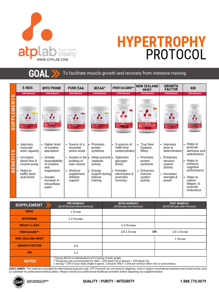 Atp Protocol - Hypertrophy | PDF