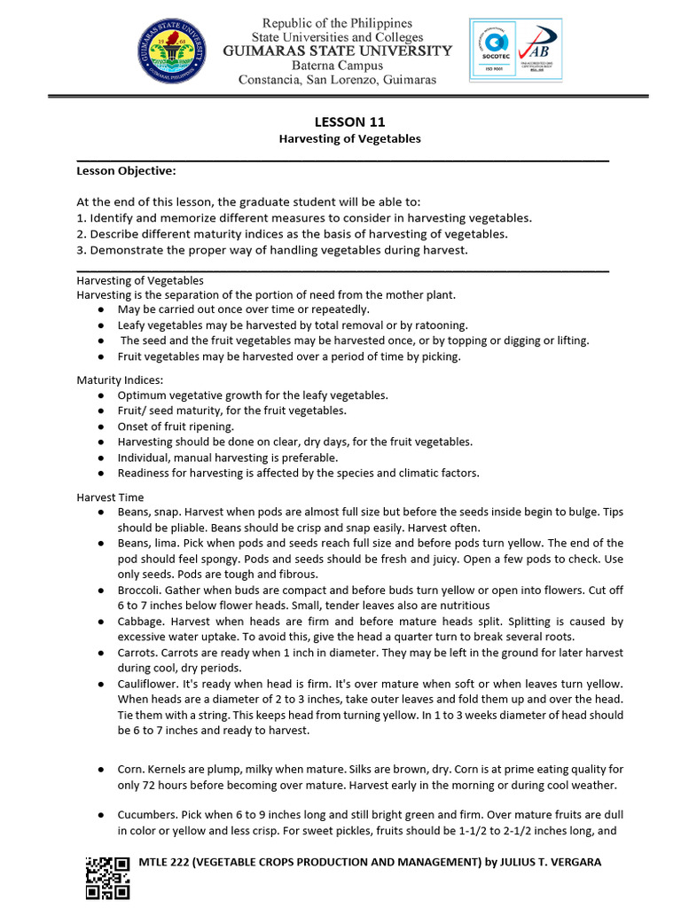 Lesson 11. MTLE 222 | PDF