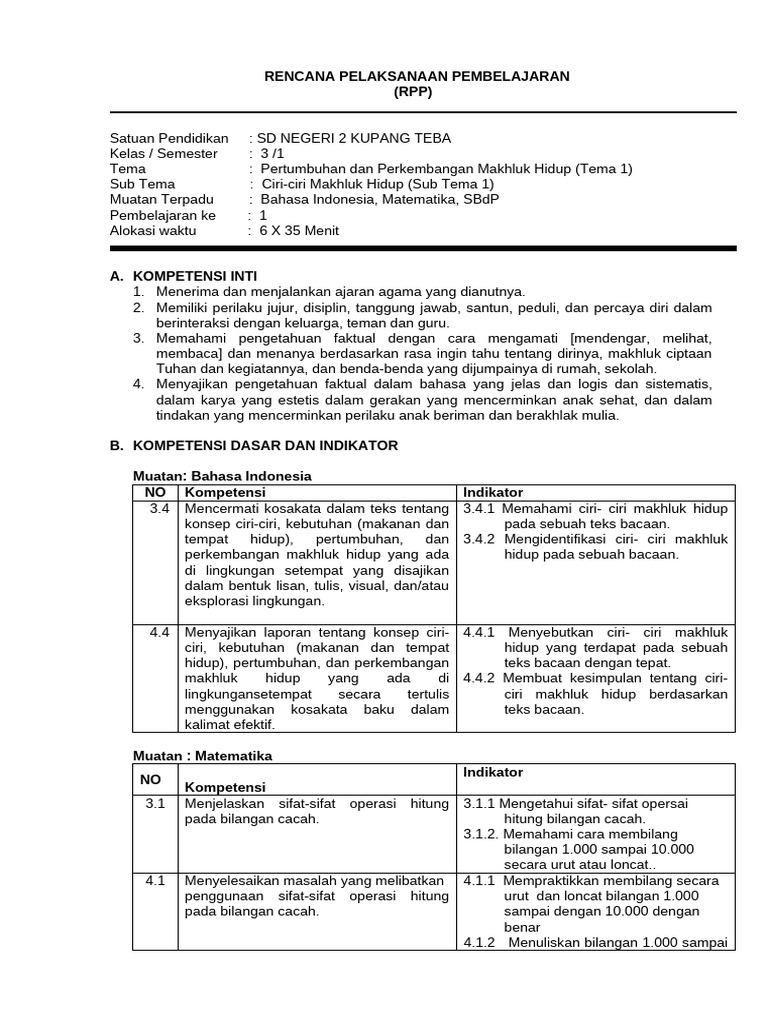 Tema 1 Sub 1 PB 1 | PDF