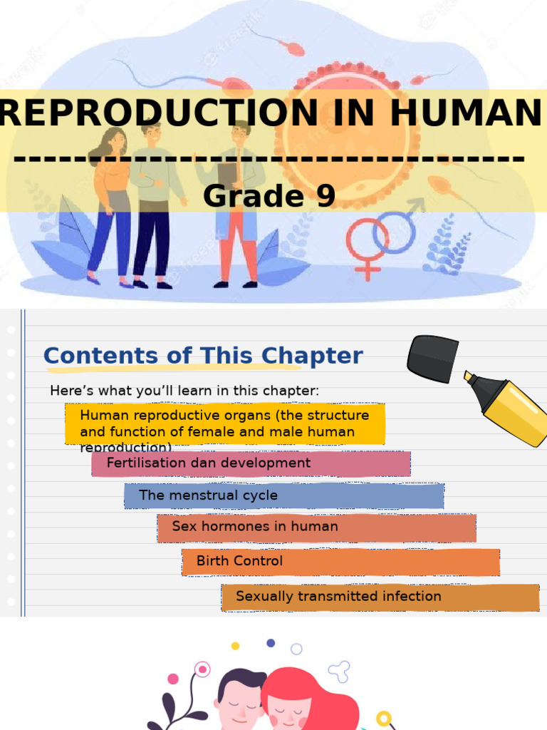 Reproduction in Humans | PDF