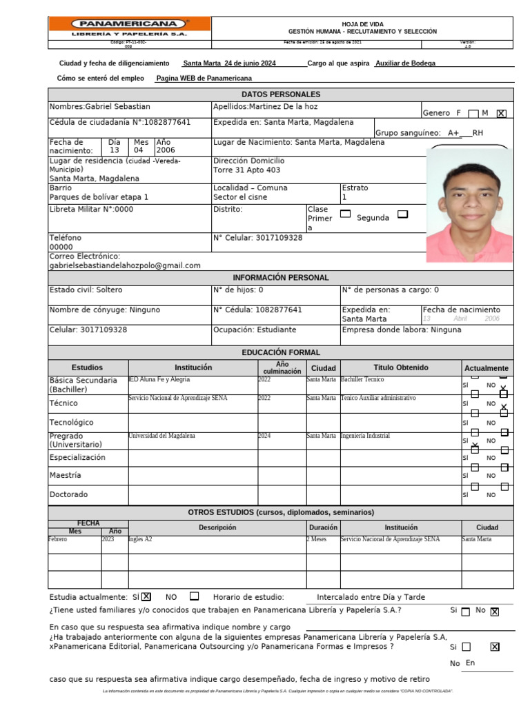 CV Gabriel Martinez de La Hoz | PDF