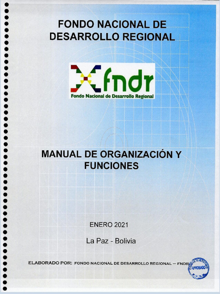 Manual-de-Organizacion-y-Funciones | PDF