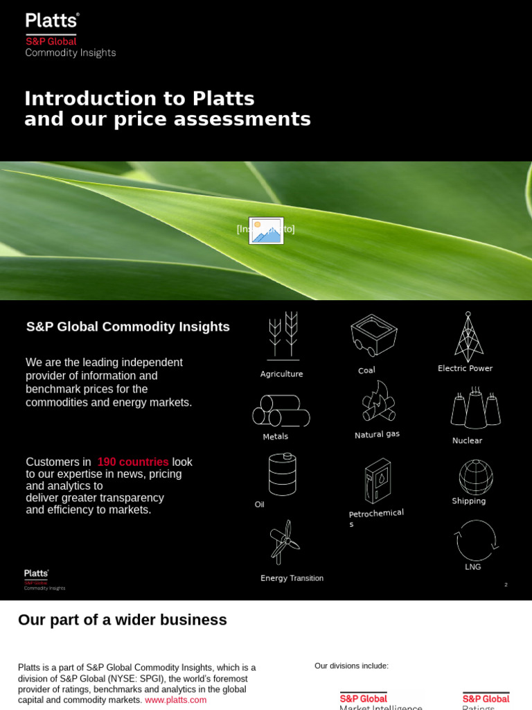 Introduction To Platts and Our Price Assessments: (Insert Photo) | PDF