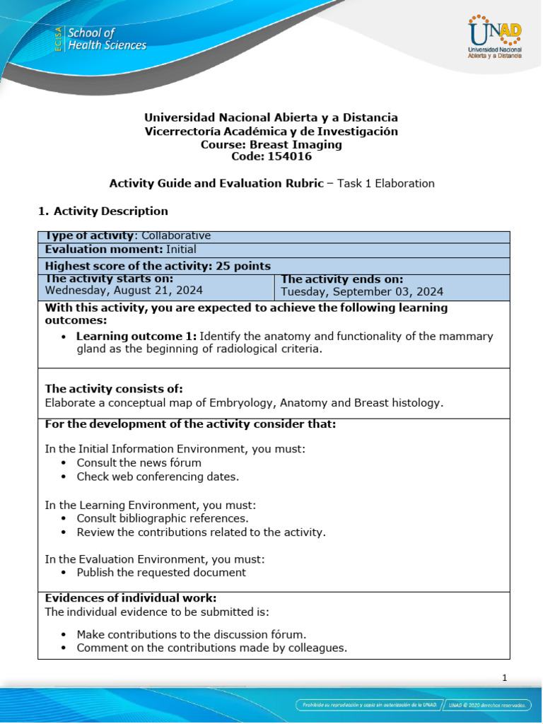 Activity Guide and Evaluation Rubric - Task 1 Elaboration | PDF