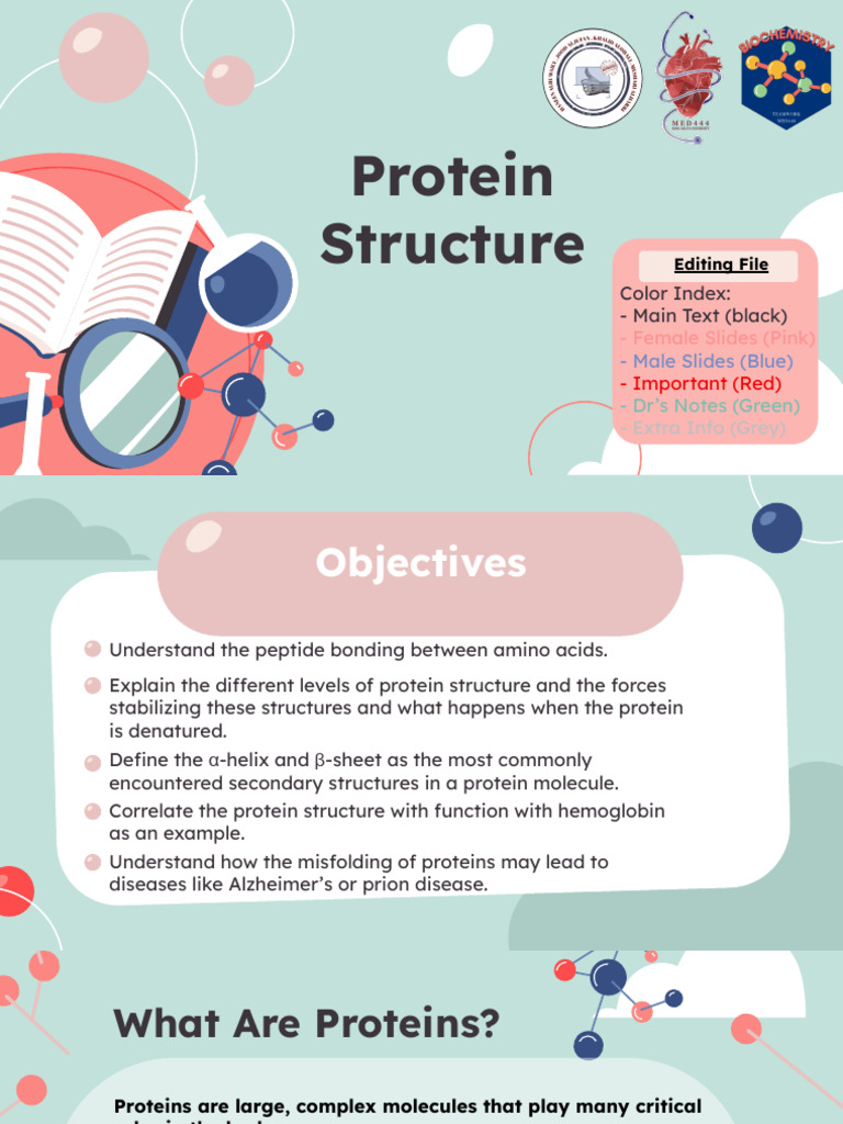 L2) Protein structure | PDF