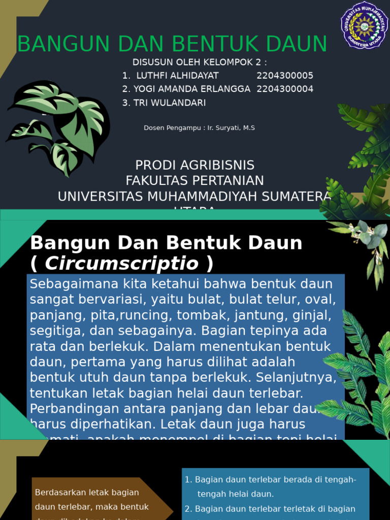 Bentuk Dan Bangun Daun | PDF