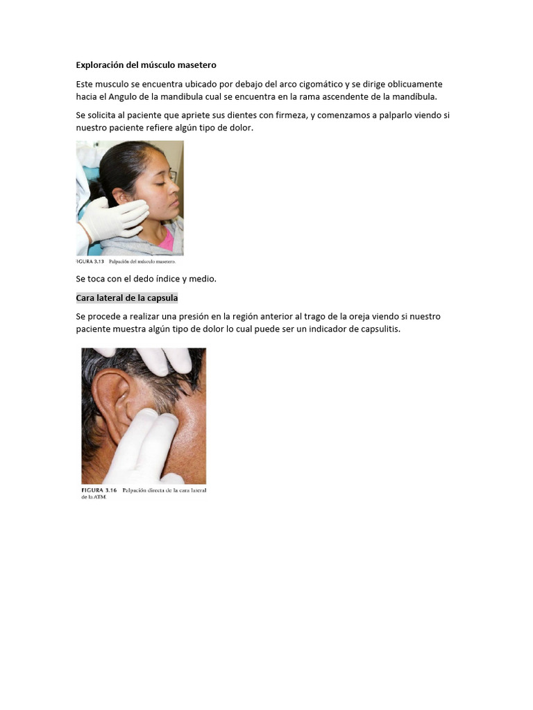 Exploración Del Músculo Masetero | PDF