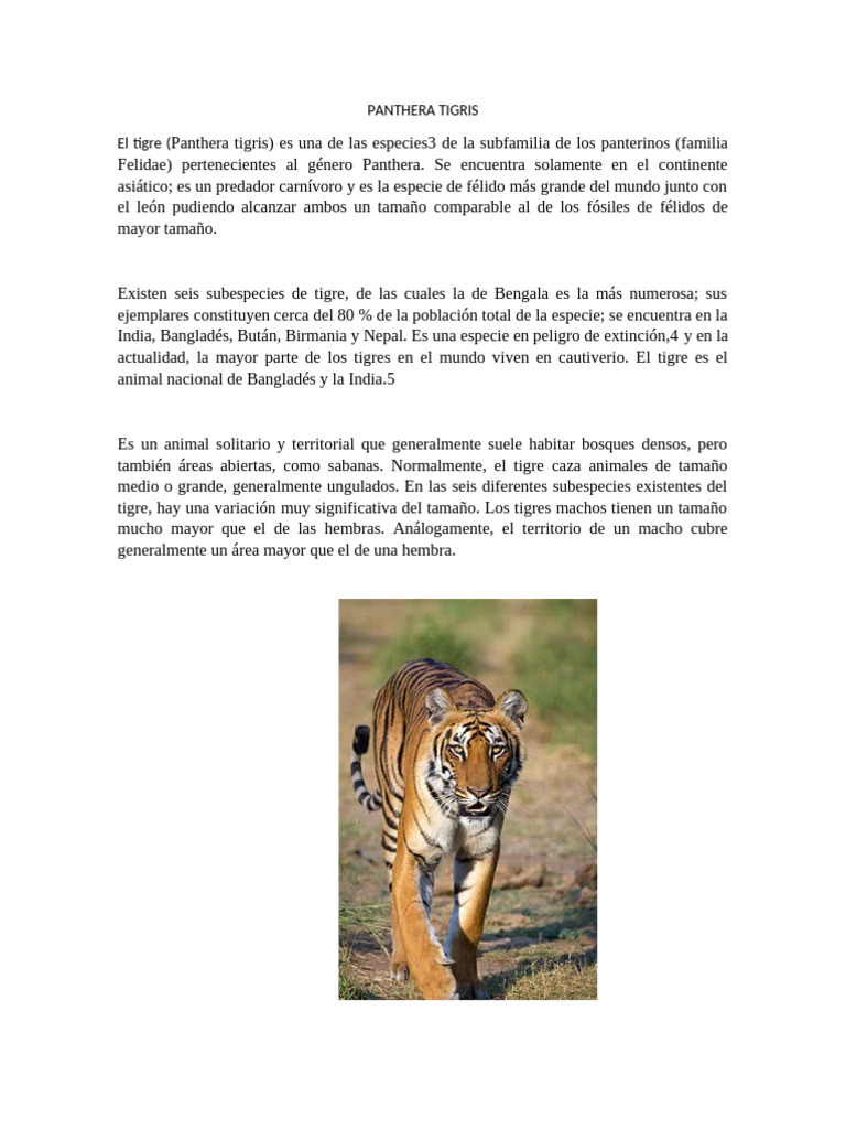 Panthera Tigris | PDF