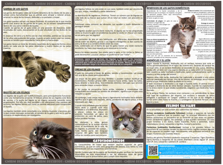 FIE EN-024 Felinos L2 2022 | PDF