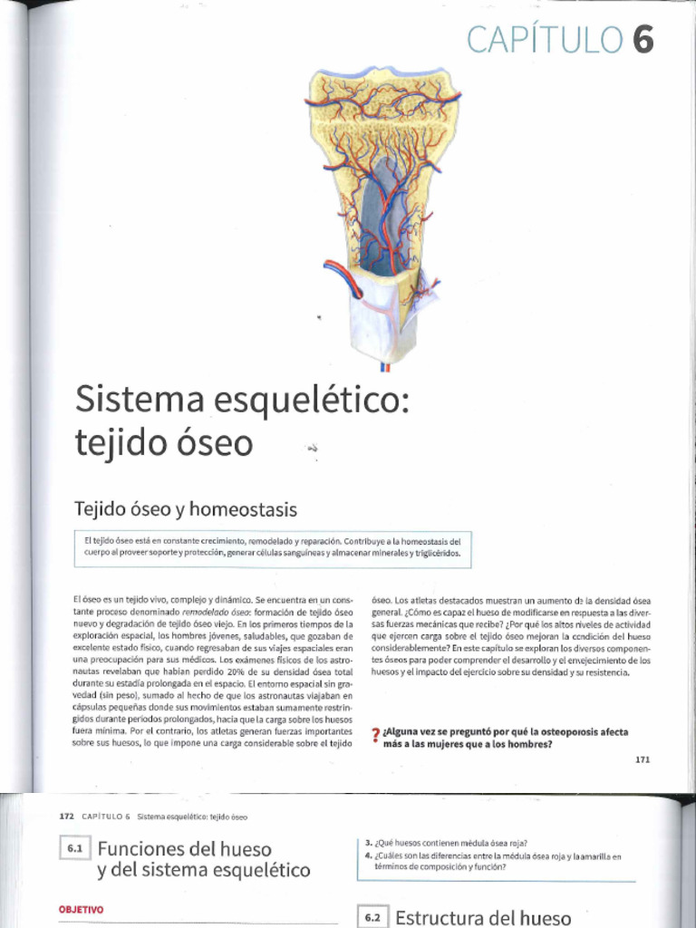 Tortora, Derrickson Principios de Anatomia y Fisiologia 15a Edicion ...