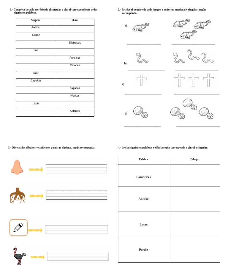 Guia Plurales de Palabras Terminadas en Z | PDF