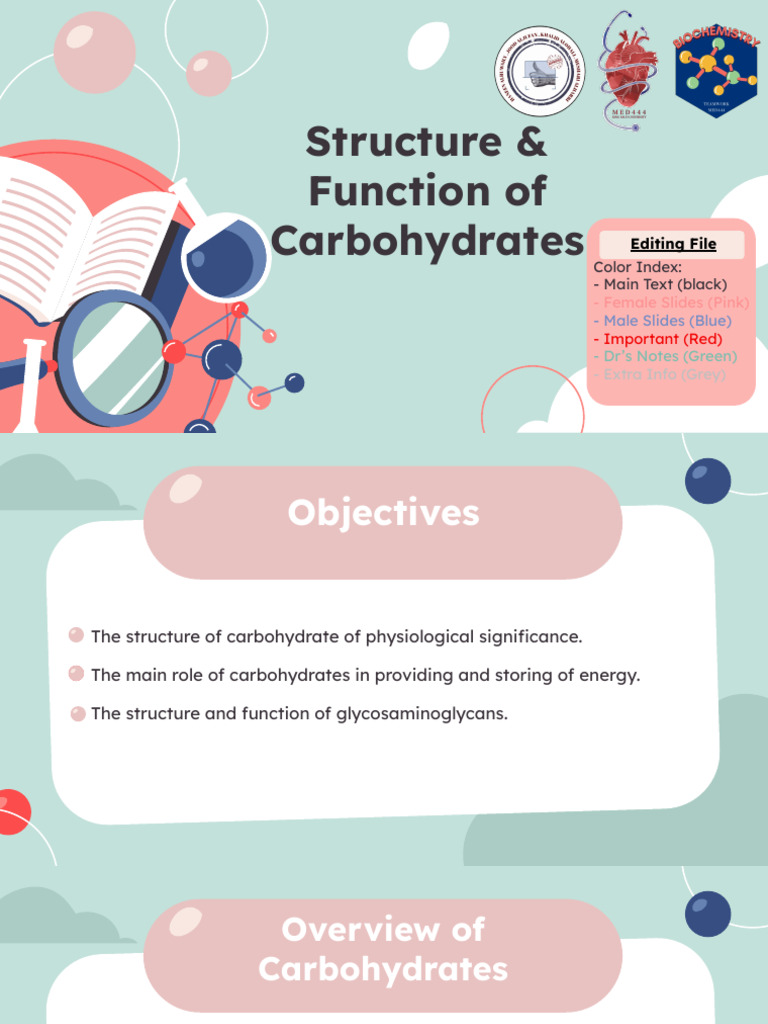 L4) Structure and Function of Carbohydrates | PDF | Carbohydrates ...