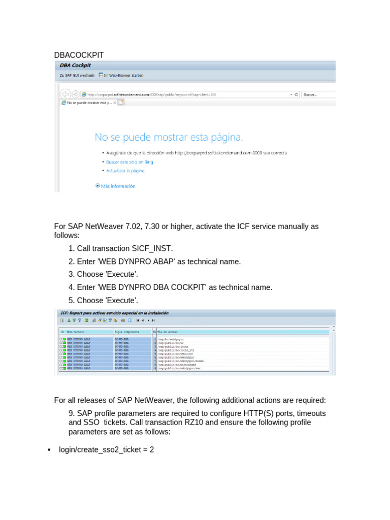 Pasos Validados Dbacockpit | PDF