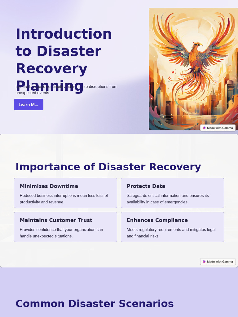 Introduction To Disaster Recovery Planning | PDF