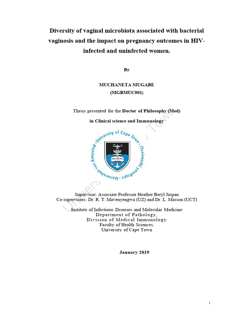 Thesis HSF 2019 Mugabe Muchaneta | PDF