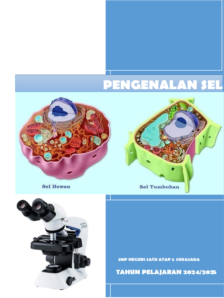 MODUL AJAR IPA - KELAS 8 - BAB 1 - SEL-1 Pertemuan2 | PDF