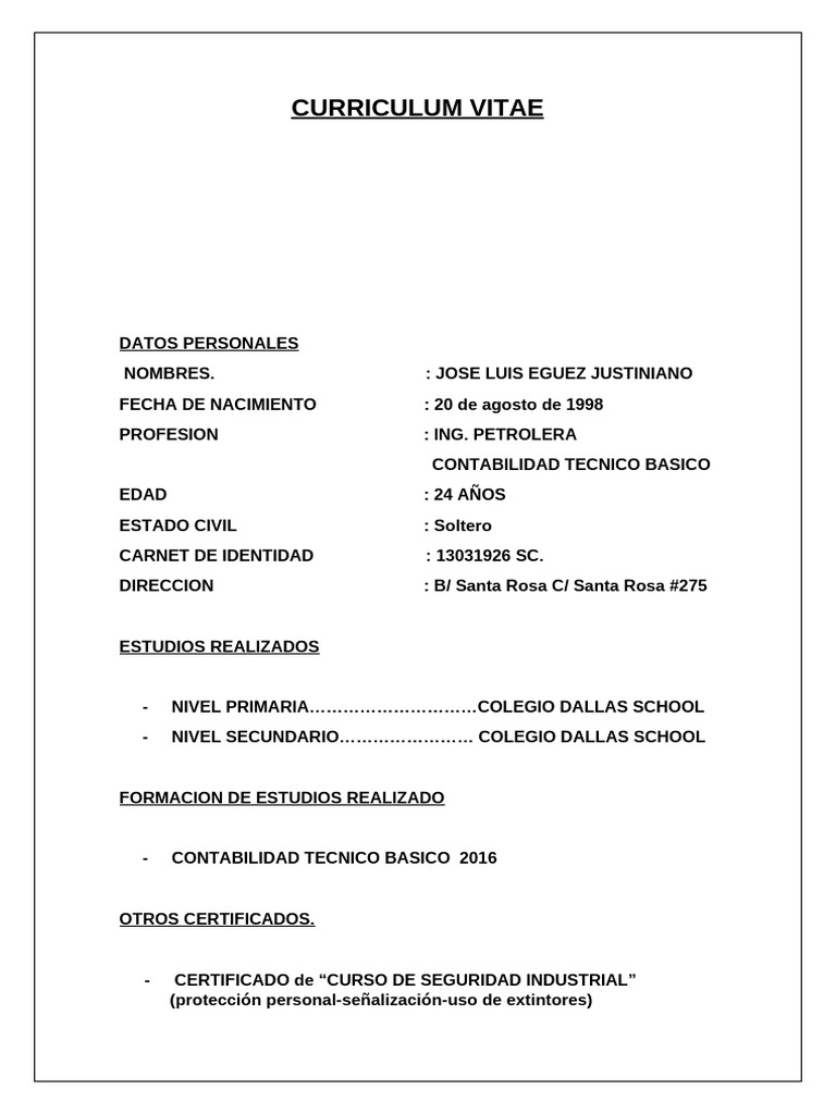 Curriculum Vitae Jose Luis | PDF