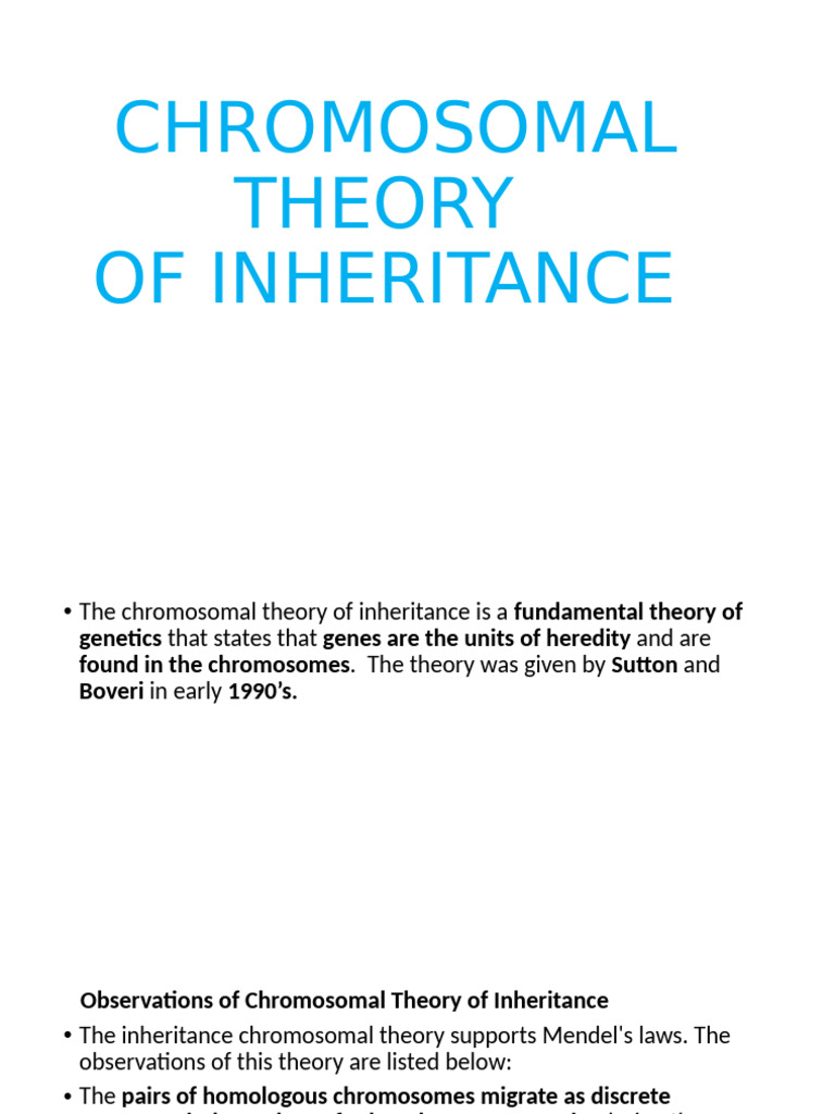 Chromosomal Theory of Inheritance | PDF
