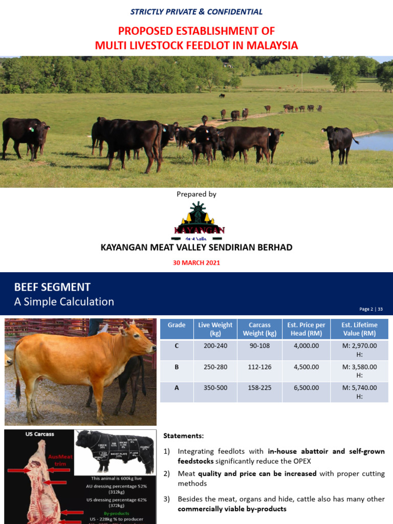 Proposal Integrated Cattle and Sheep Feedlot v1.1 | PDF