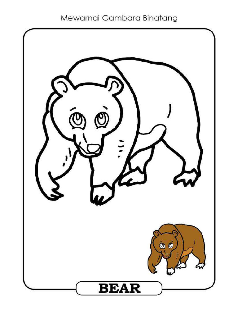 BEAR | PDF