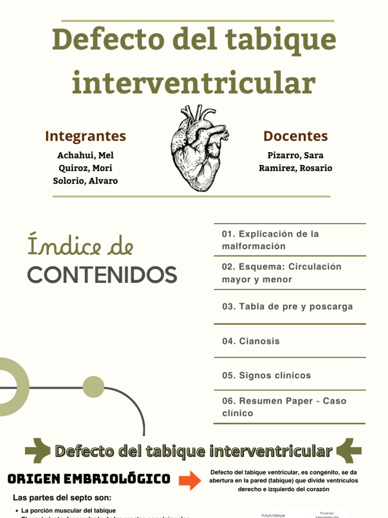 Defecto Del Tabique Interventricular | PDF | Ventrículo (corazón) | Corazón