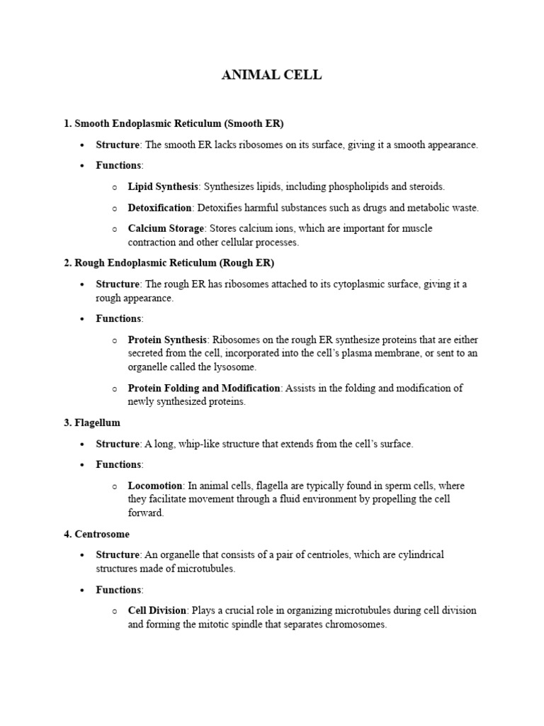 Animal Cell Organelles | PDF