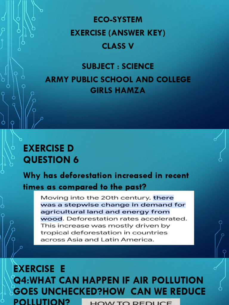 Answer Key Exercise Questions 5 | PDF
