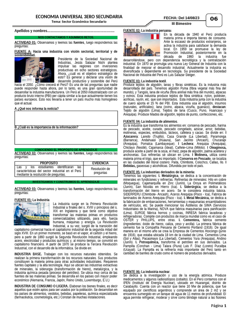 CLASE - 06 - Sector Economico Secundario | PDF