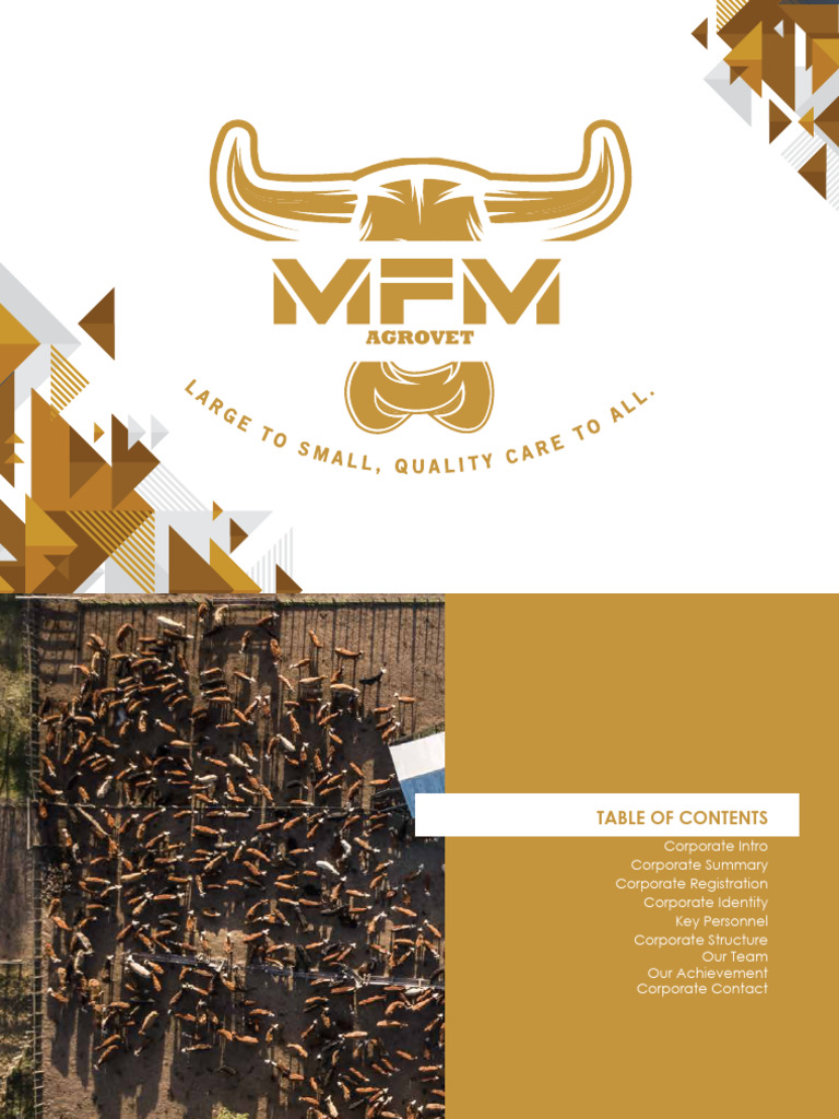 Company Profile - MFM Agrovet (202307) | PDF
