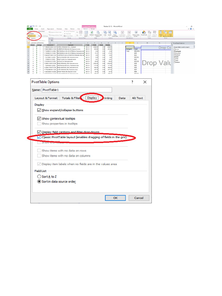 Pivot Table View Classic Layout | PDF