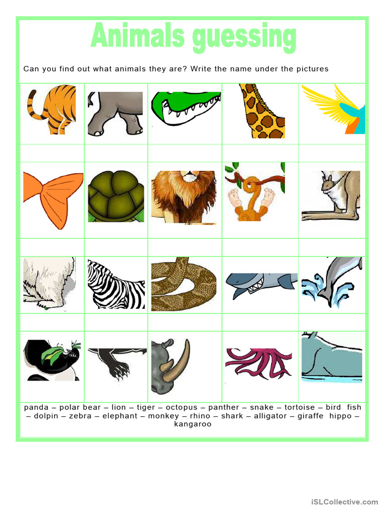 Animals - Guessing | PDF