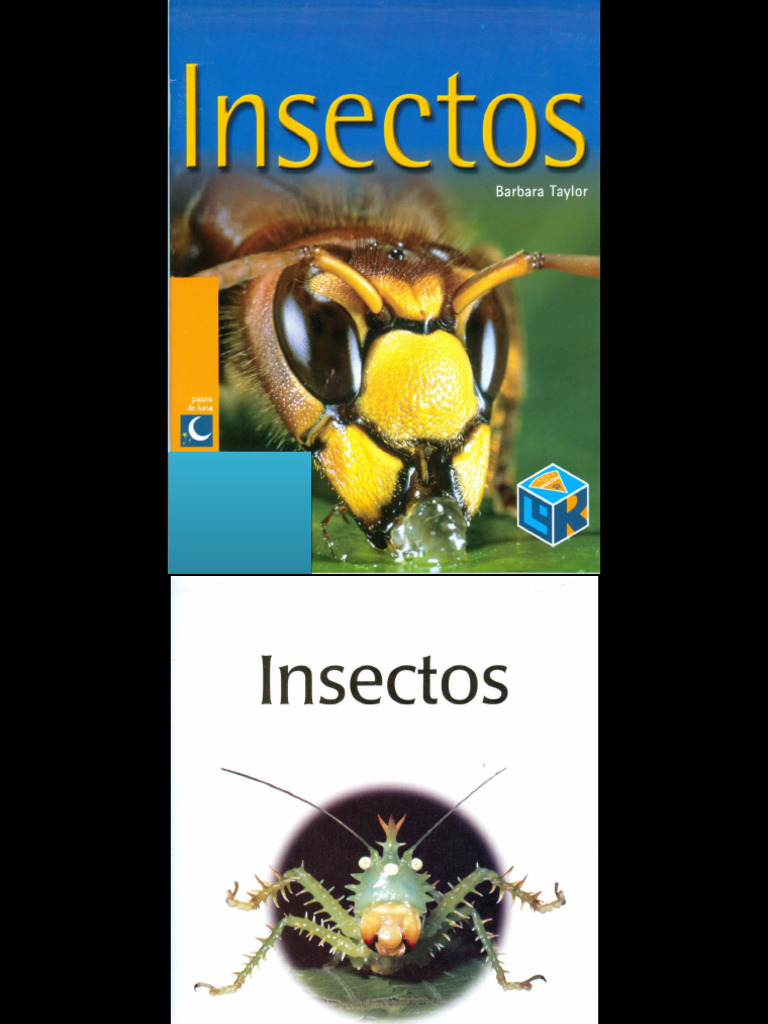 Insectos | PDF