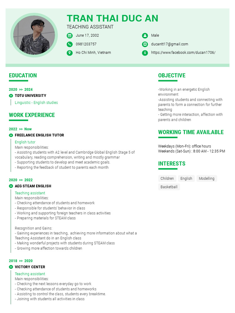 Tran Thai Duc An CV | PDF