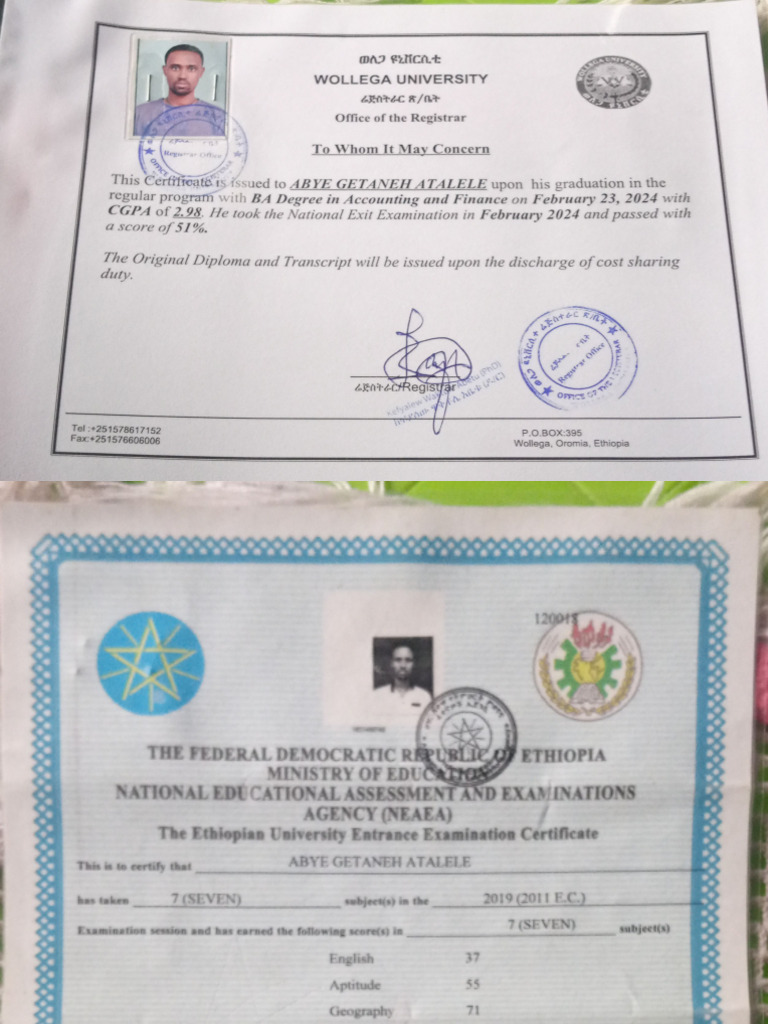 Abye Scan | PDF